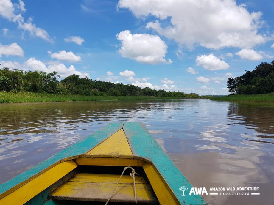 Río Amazonas | Full Day | Tours